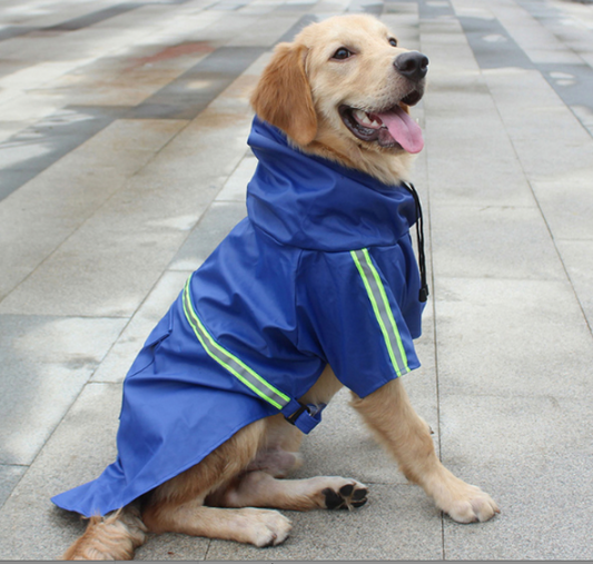 SHOP DOG – Woofly